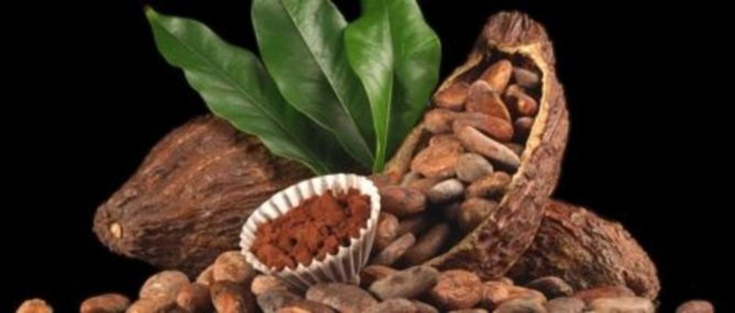 Barry Callebaut übernimmt Petra Foods - htr.ch