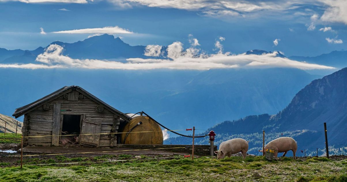 3,1 millions de francs pour des projets en montagne - htr.ch
